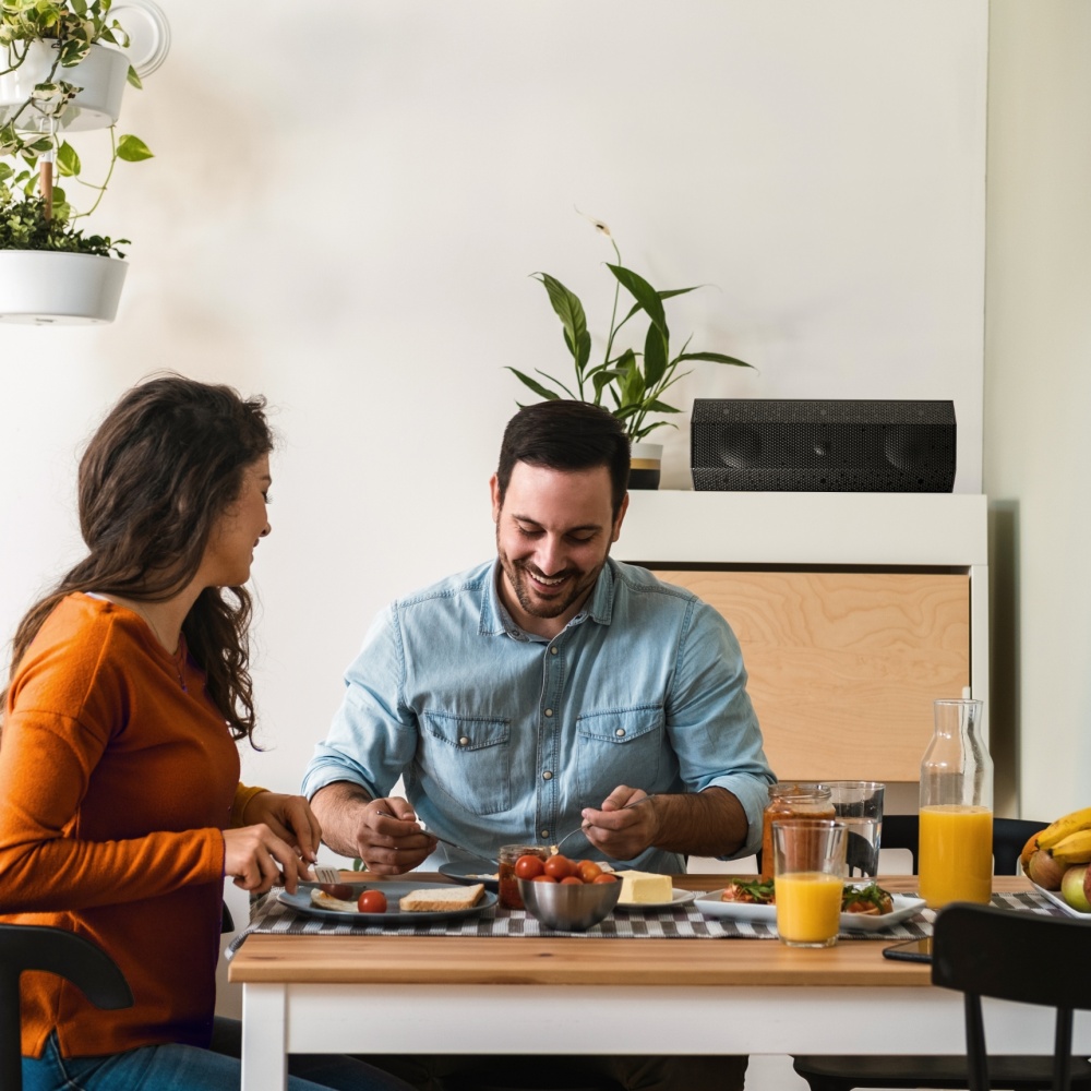 Lithe Audio iO1 Indoor & Outdoor Speaker - Active - Lithe Audio LTD